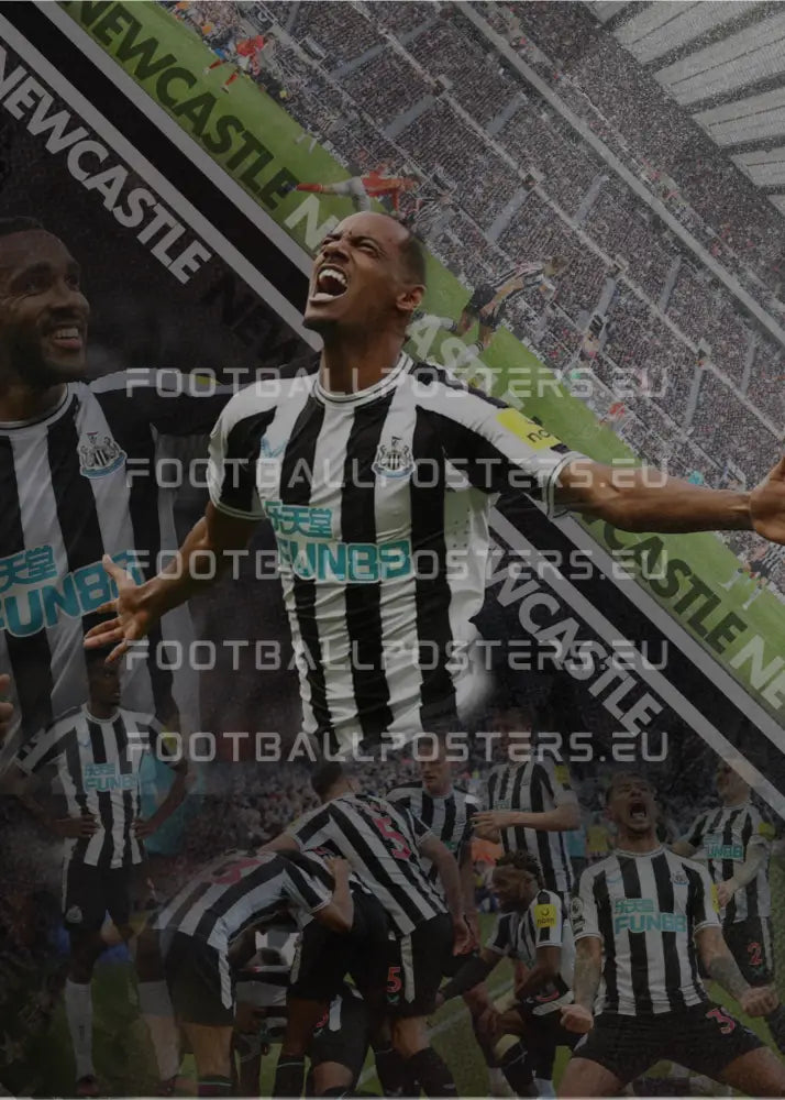 Premium Newcastle United Football Club Poster Collection | Exclusive ...